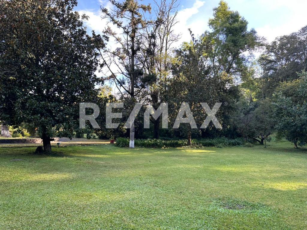 6 Casas en venta en Temascaltepec - Febrero 2024